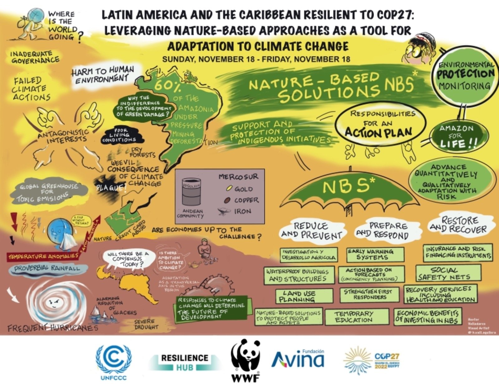 Visualising Resilience: Findings & priorities from the Latin America ...