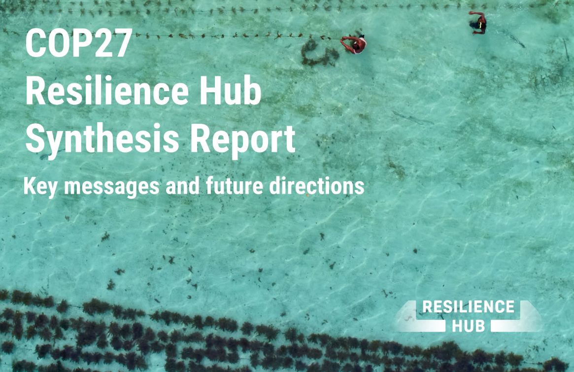 COP27 - COP Resilience Hub